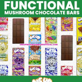 One Up Mushroom Chocolate Bars For Focus | Official One Up Shrooms