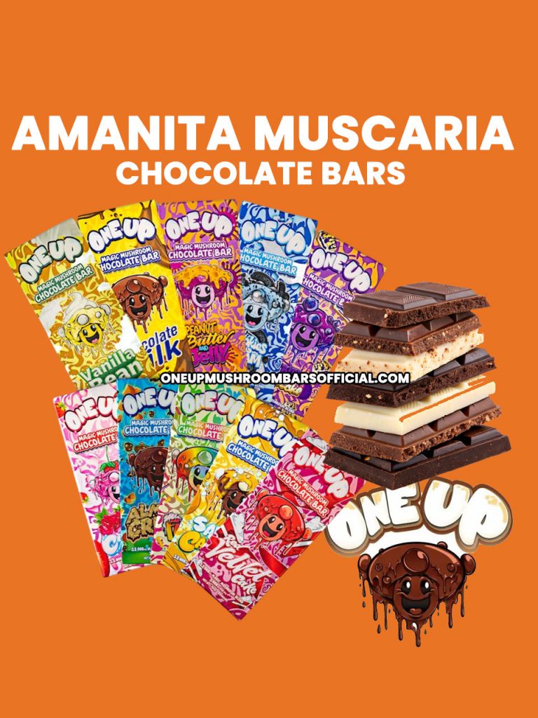 Amanita Muscaria Mushroom Chocolate Bars - Free Shipping